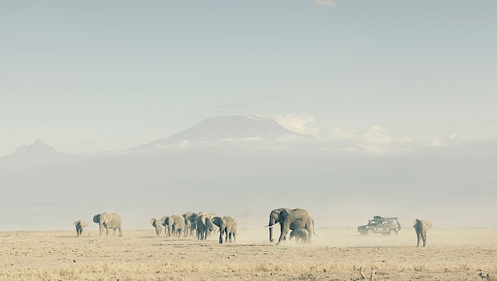 Horton-Stephens - George Logan - Land Rover / Born Free