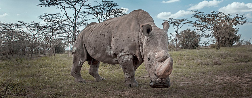 Horton-Stephens - Latest News from Horton-Stephens Photography Agents